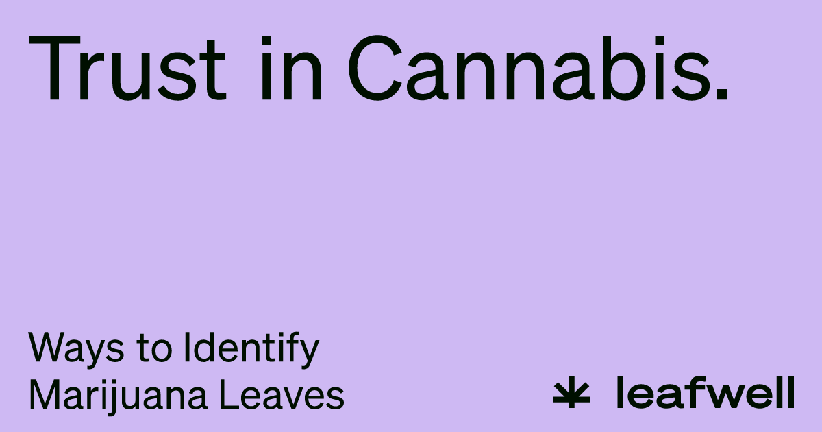 How to Identify Marijuana Leaves